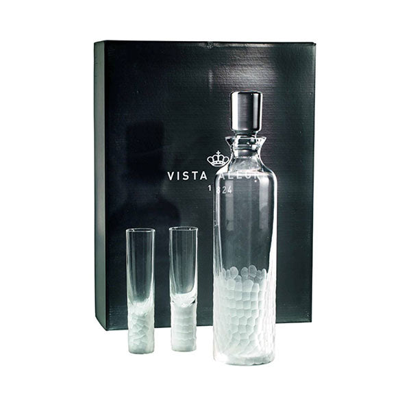Artic Case With Vodka Decanter & 4 Shots